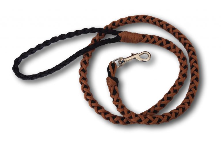 Tying up your dog - How to safely secure your dog outside